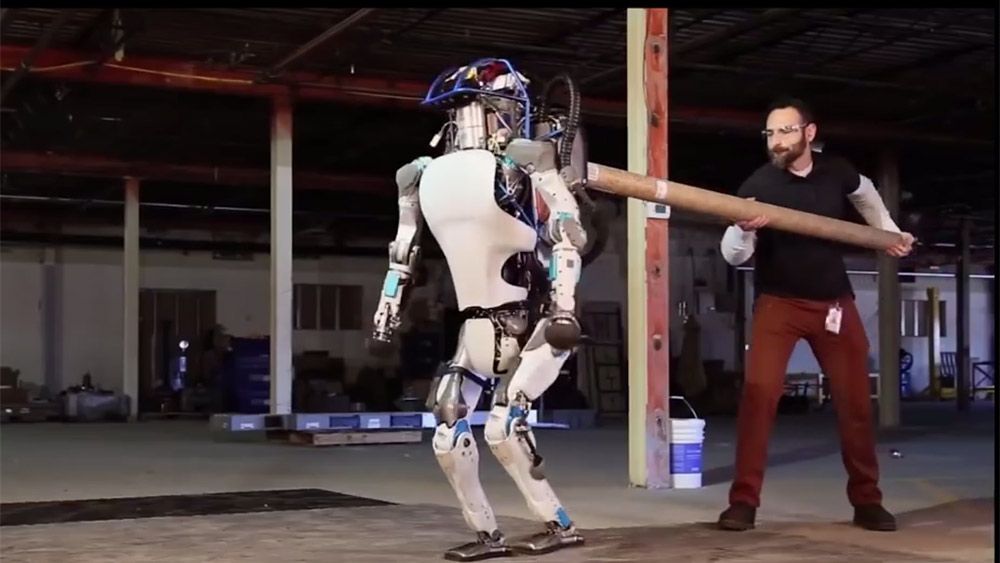 Pain leads to empathy and self-preservation: should we make robots ...