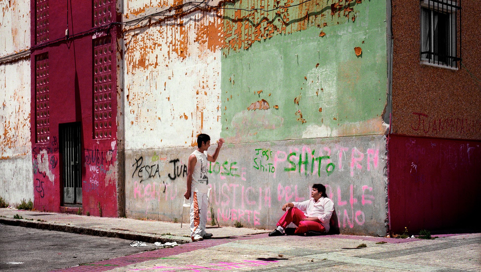 If animals are persons, should they bear criminal responsibility ...